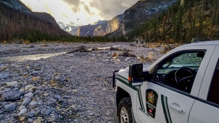 Conservation officers | Alberta.ca