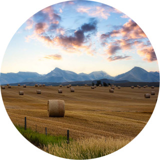 Alberta’s environmental leadership | Alberta.ca