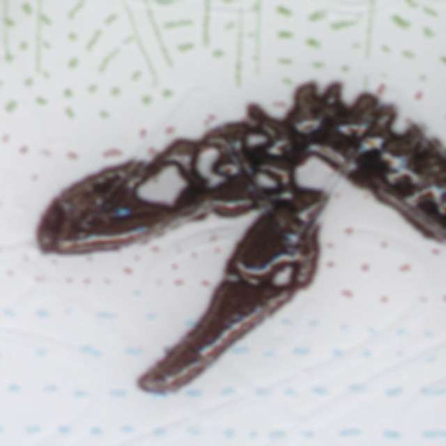 Driver’s licence security features | Alberta.ca