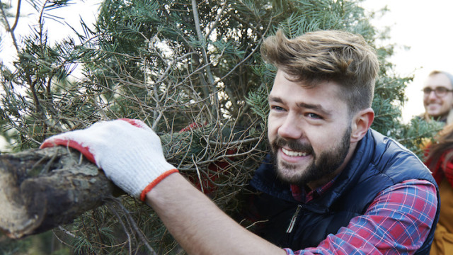 Tree cutting for personal use | Alberta.ca