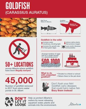 Don’t Let It Loose | Alberta.ca