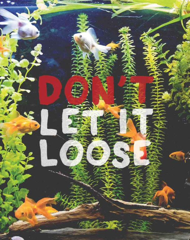 Don’t Let It Loose | Alberta.ca