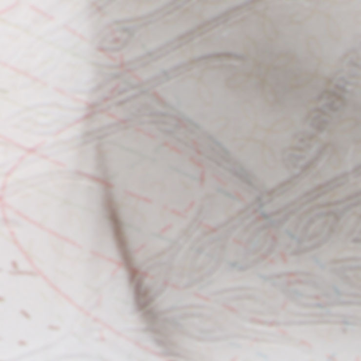 Driver’s licence security features | Alberta.ca