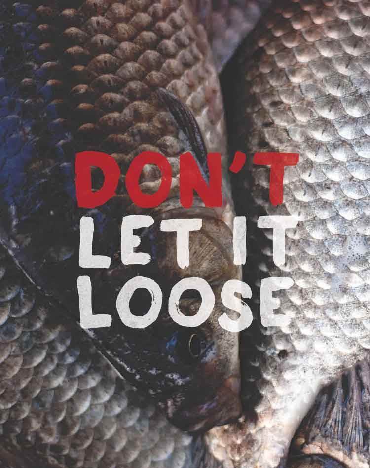 Don’t Let It Loose | Alberta.ca